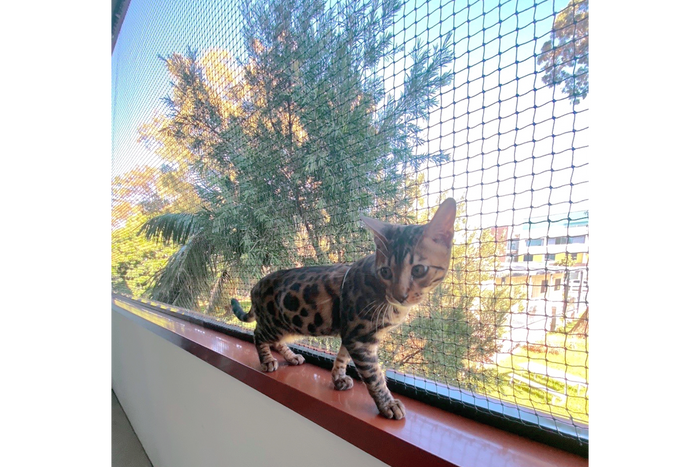 Netting Packs – Catnets New Zealand