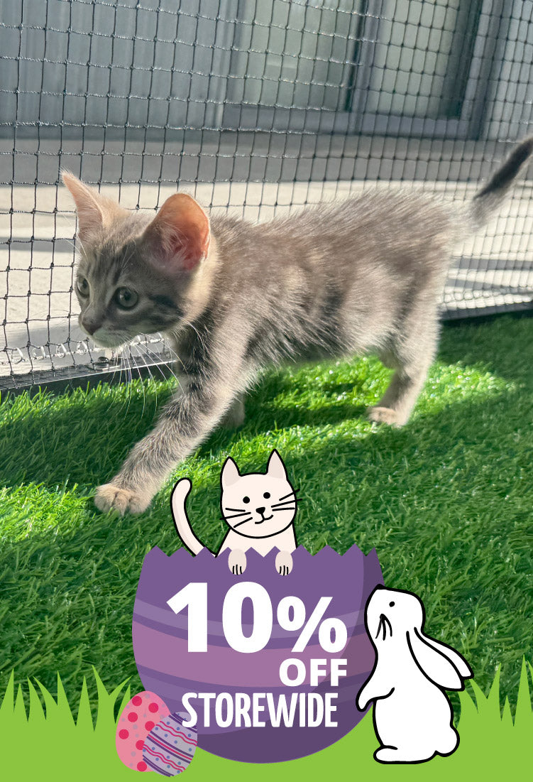 Catnets | Cat Enclosures, Cat nets, Cat Netting, Cat Runs, Containment ...