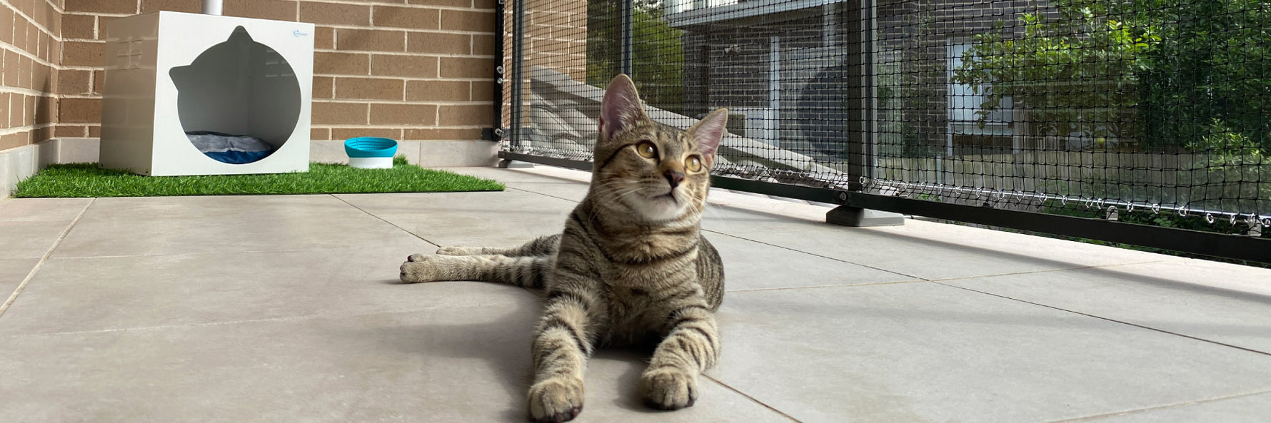 Catnets | Cat Enclosures, Cat nets, Cat Netting, Cat Runs, Containment ...