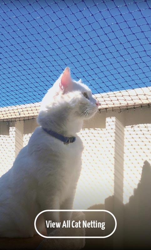 Contact Us – Catnets New Zealand
